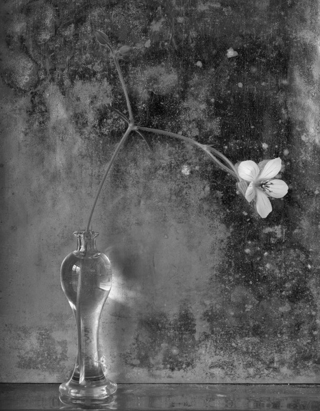 photo-eye | BLOG: Interview: James Pitts