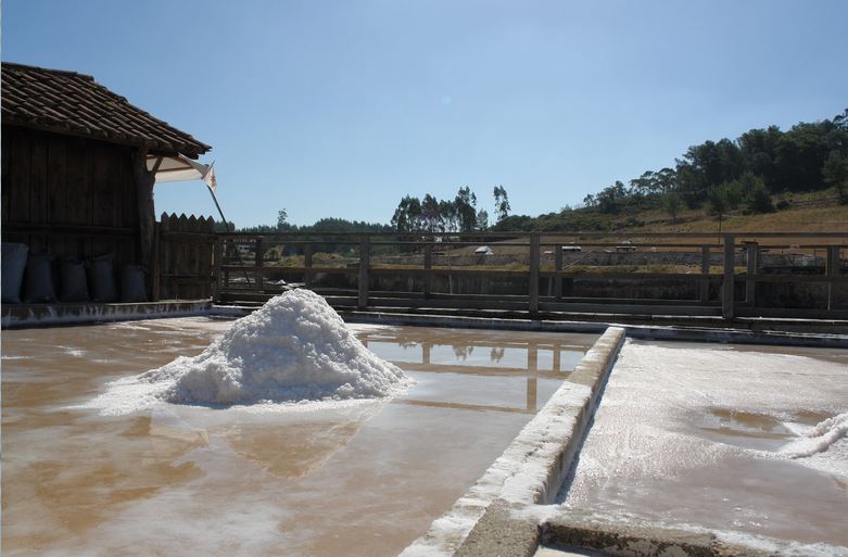 Portugal - Conheça o Mais Belo País da Europa : Nas Salinas de Rio ...