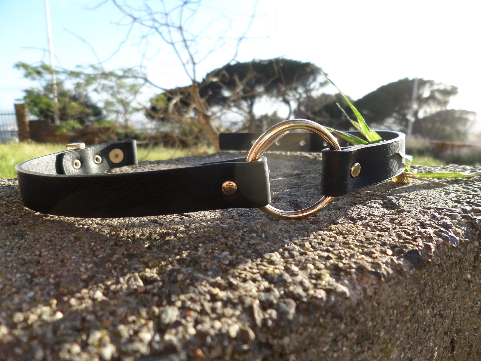 Review: Bijoux Indiscrets MAZE Single Choker - Oh Glow