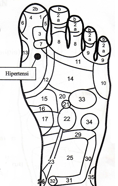 TITIK-TITIK REFLEKSI PADA TELAPAK KAKI | Just For Fun