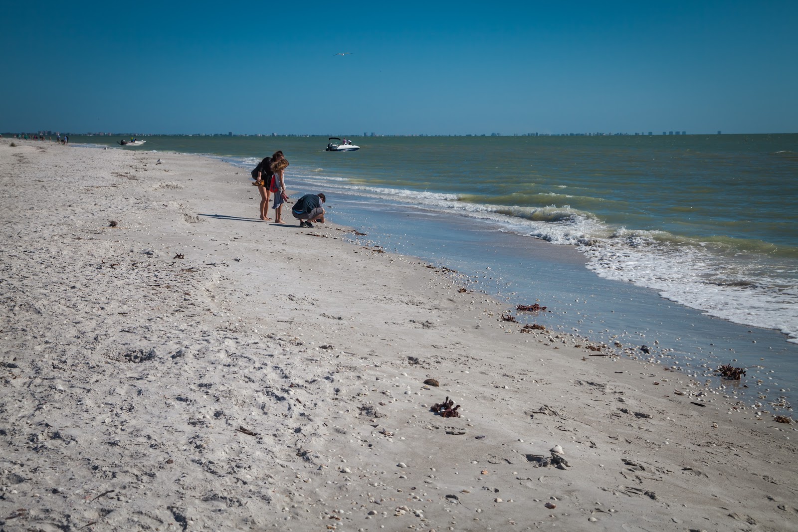 Where is the Best Place to Collect Sea Shells? - Explore the World with ...