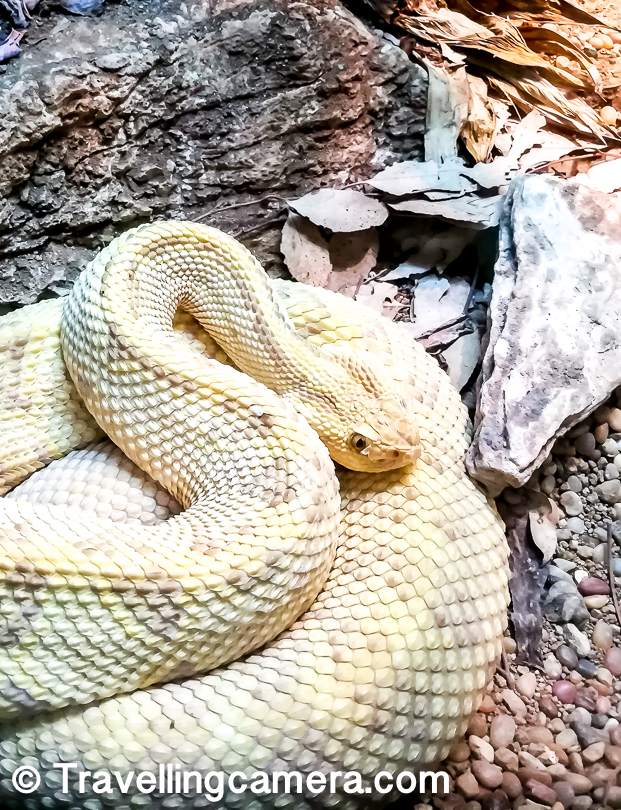 Travel Guide for San Diego - Sea World, Balboa Park, World's best zoo ...