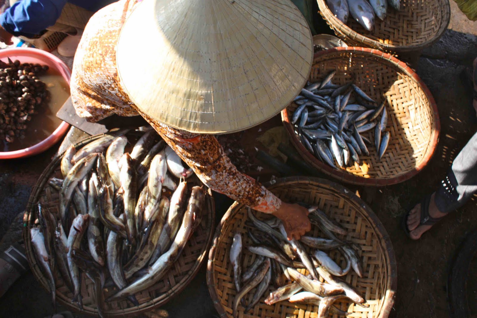 The World Tastes Good: Weekend Escape to Dong Hoi