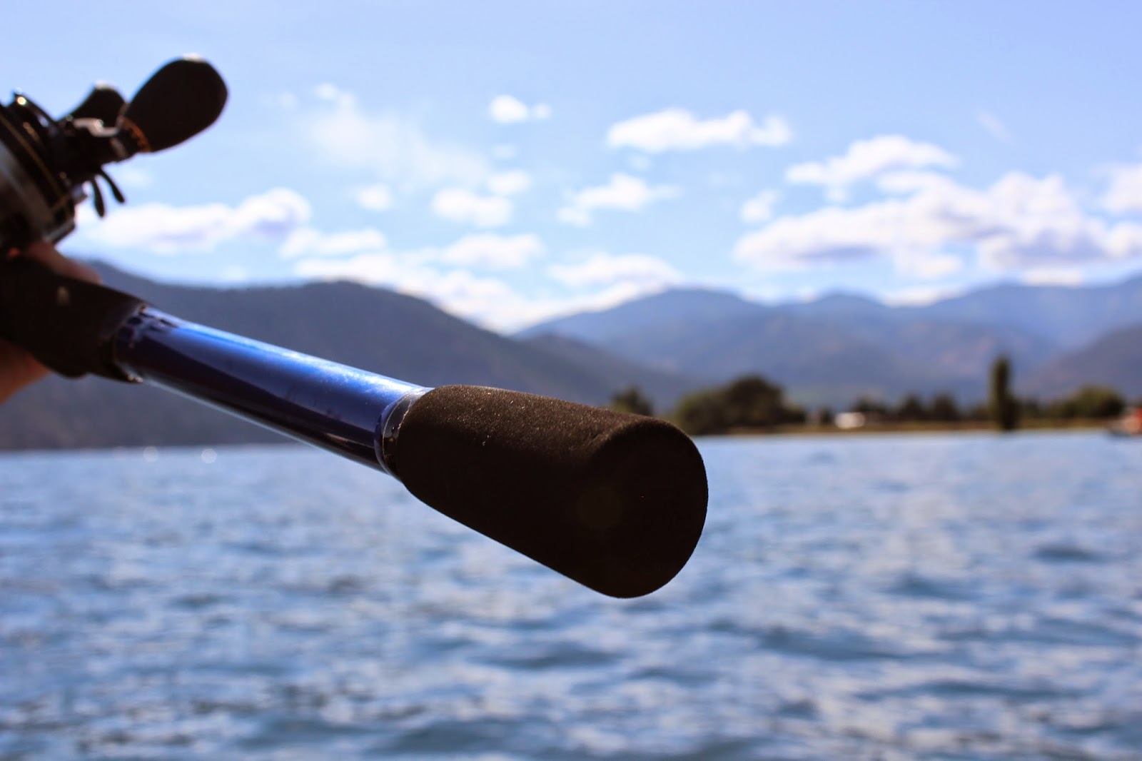 T Brinks Fishing: Lamiglas Excel II Rod Review