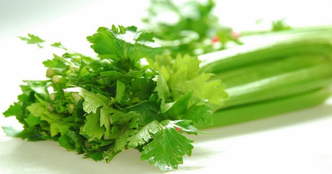 Manfaat Ajaib Daun Seledri Untuk Kesehatan dan Cara Tepat Meramunya