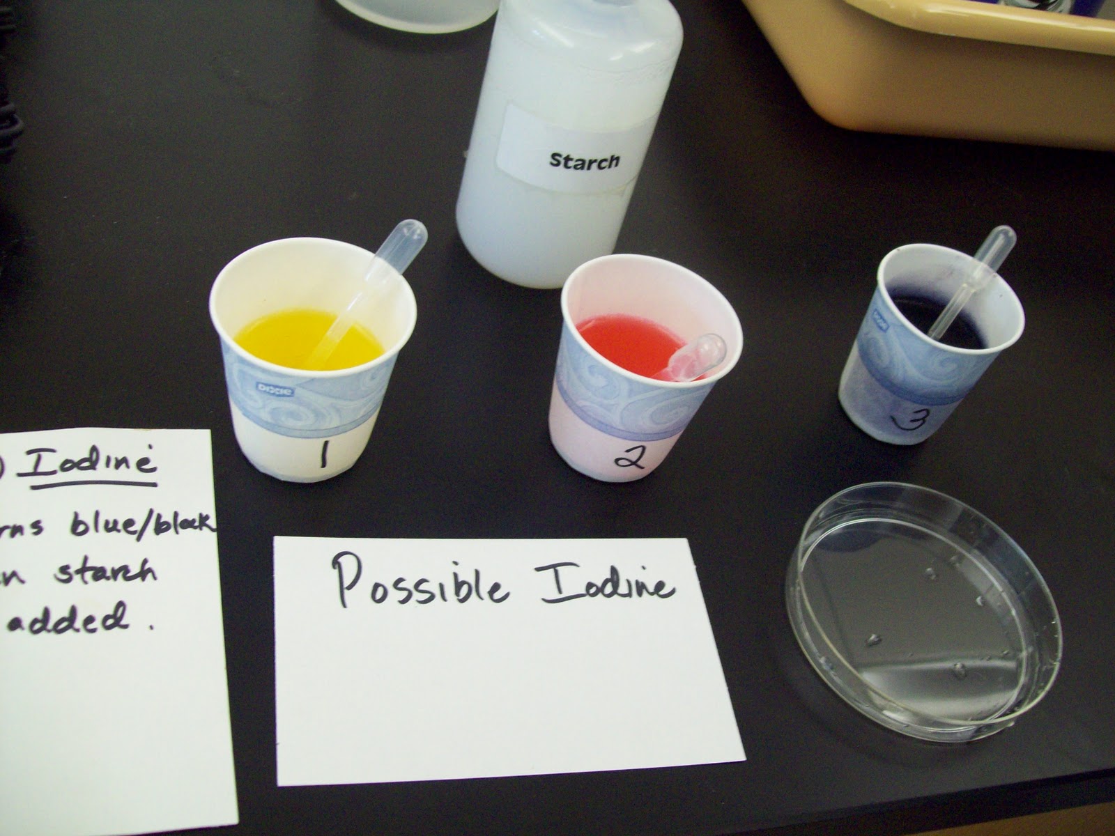 isanchezForensics: Poison Test Activity (Sunday December 4 2011)