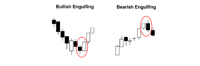 Fibo Musang - Forex & Anime
