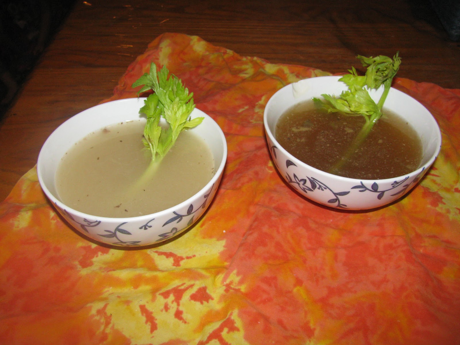 JoAnna: GlutenFree Chef and Health Enthusiast: Homemade Stock ( 2 ...