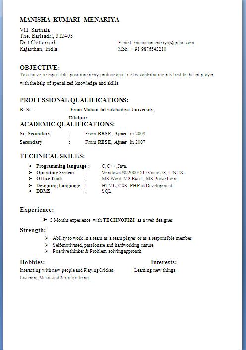 Sample BSC IT Fresher Resume Format in Word Free Download