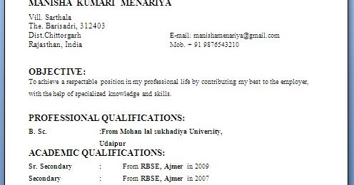 Sample BSC IT Fresher Resume Format in Word Free Download