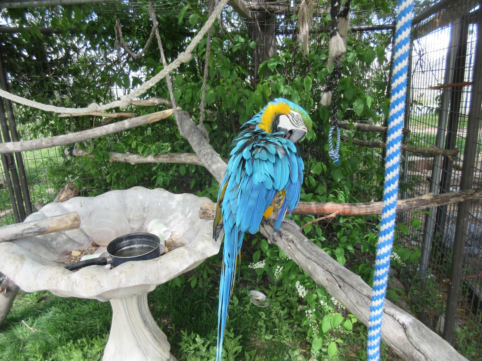 The Waterwheelers: April 2017