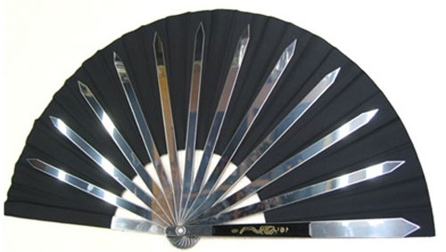 DE TUDO UM POUCO: LEQUES