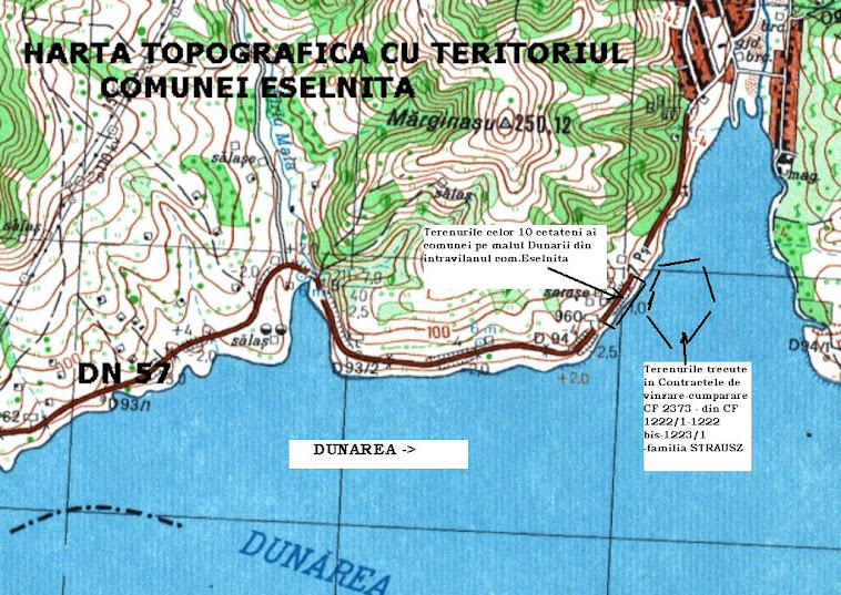 Incalcarea dreptului de proprietate a lui Brincovianu Constantin ...