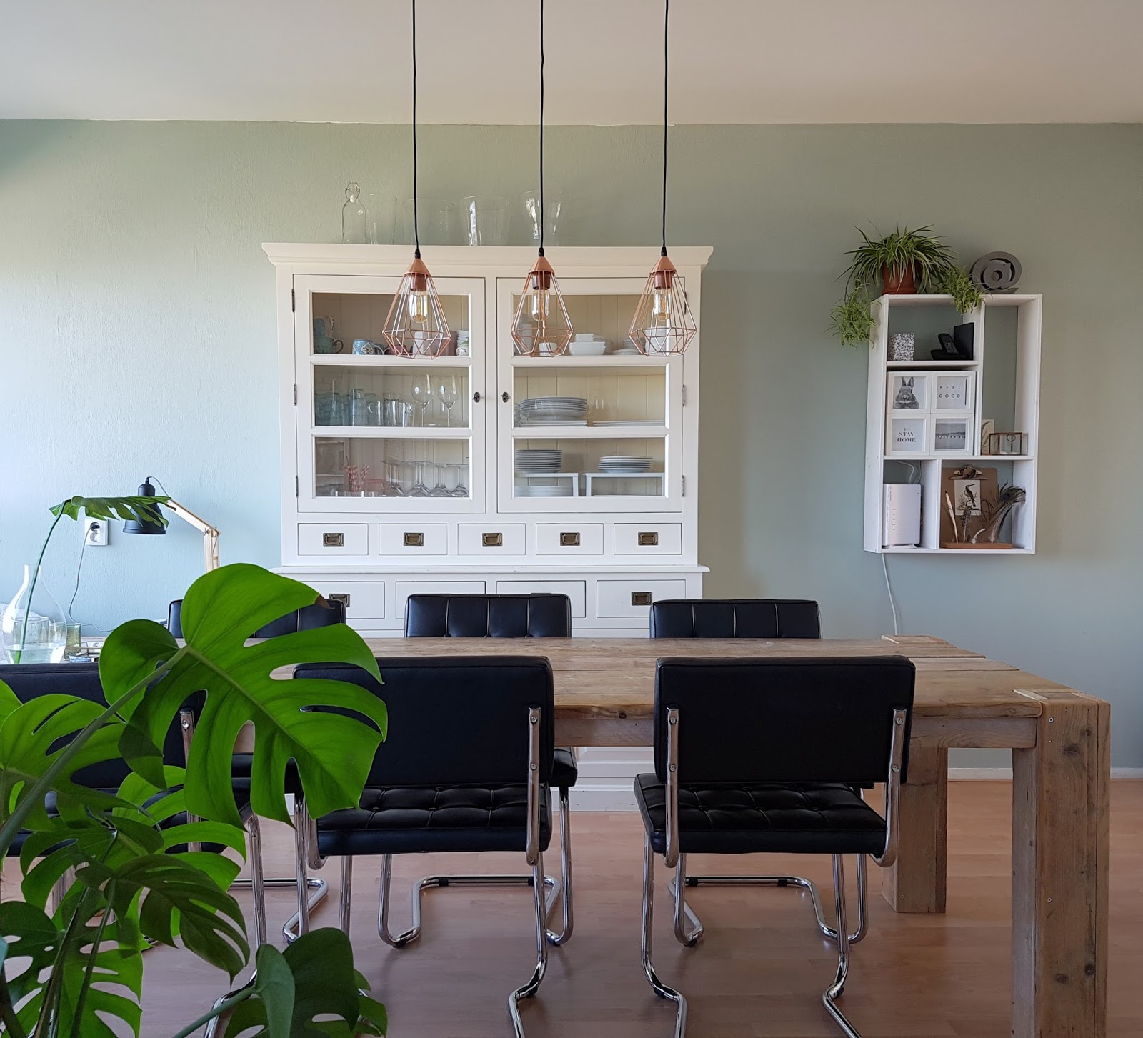 Rosa fashion, sports and more: Happy new color | Early Dew