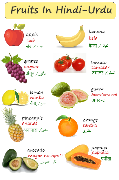 Fruits in Urdu | Learning Hindi Urdu