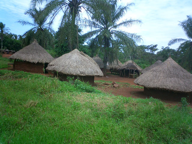 Blaine ESL: Congo Houses