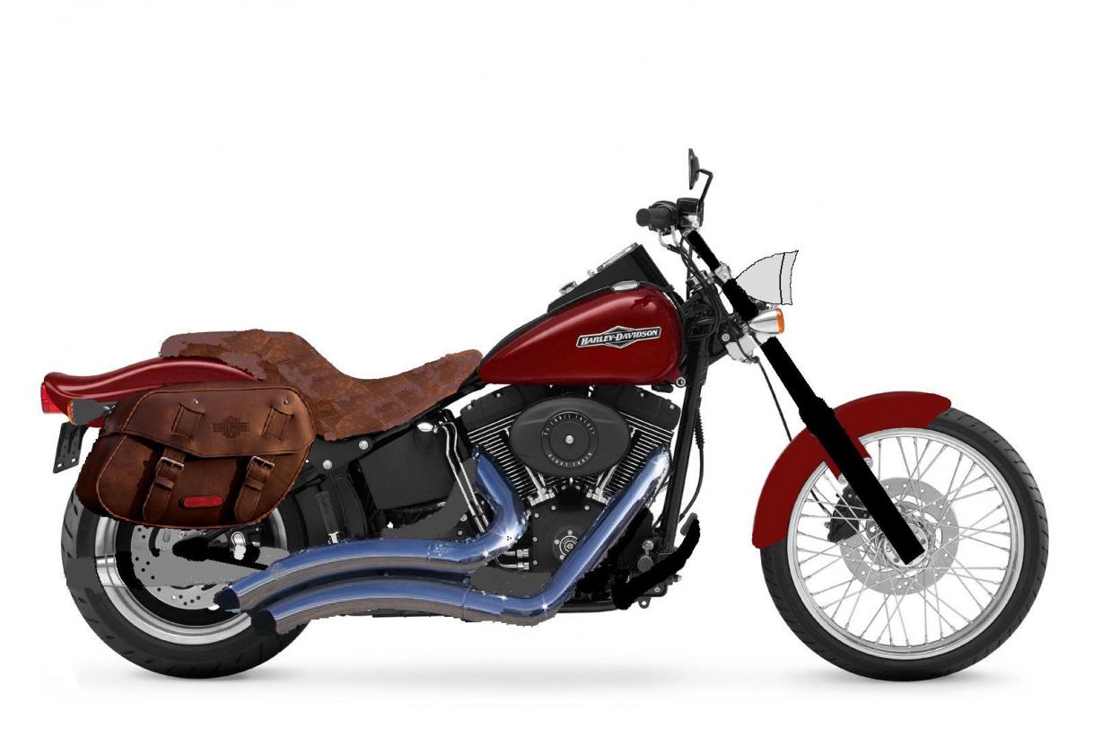 Harley-Davidson: 2009 Harley-Davidson FXSTB Night Train