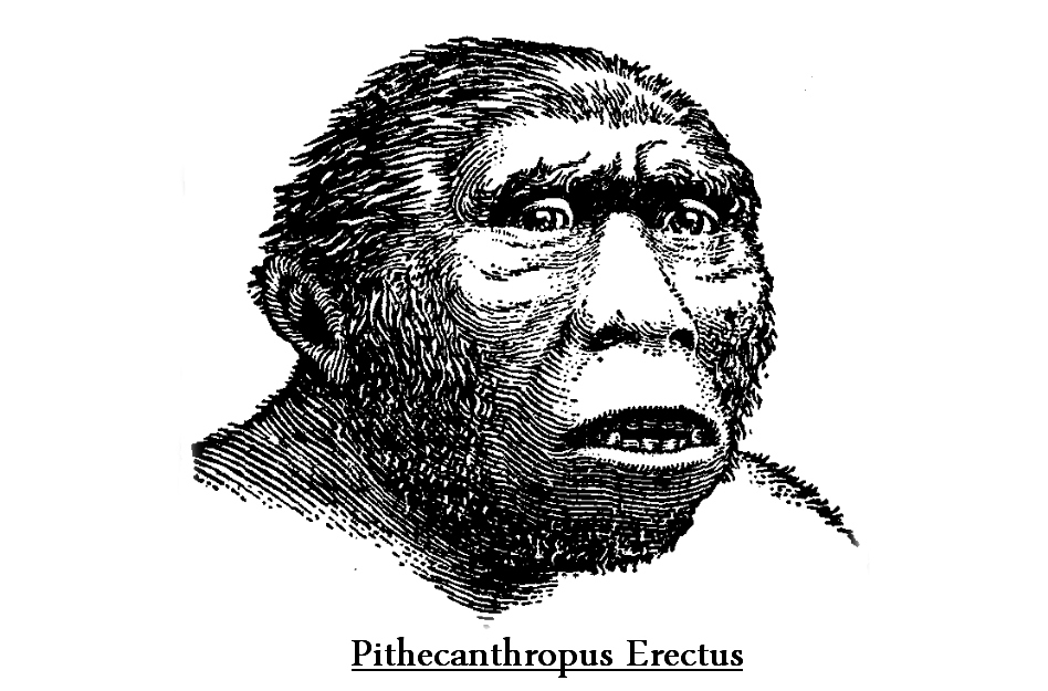 3 Jenis Manusia Purba Praaksara ~ Ruana Sagita