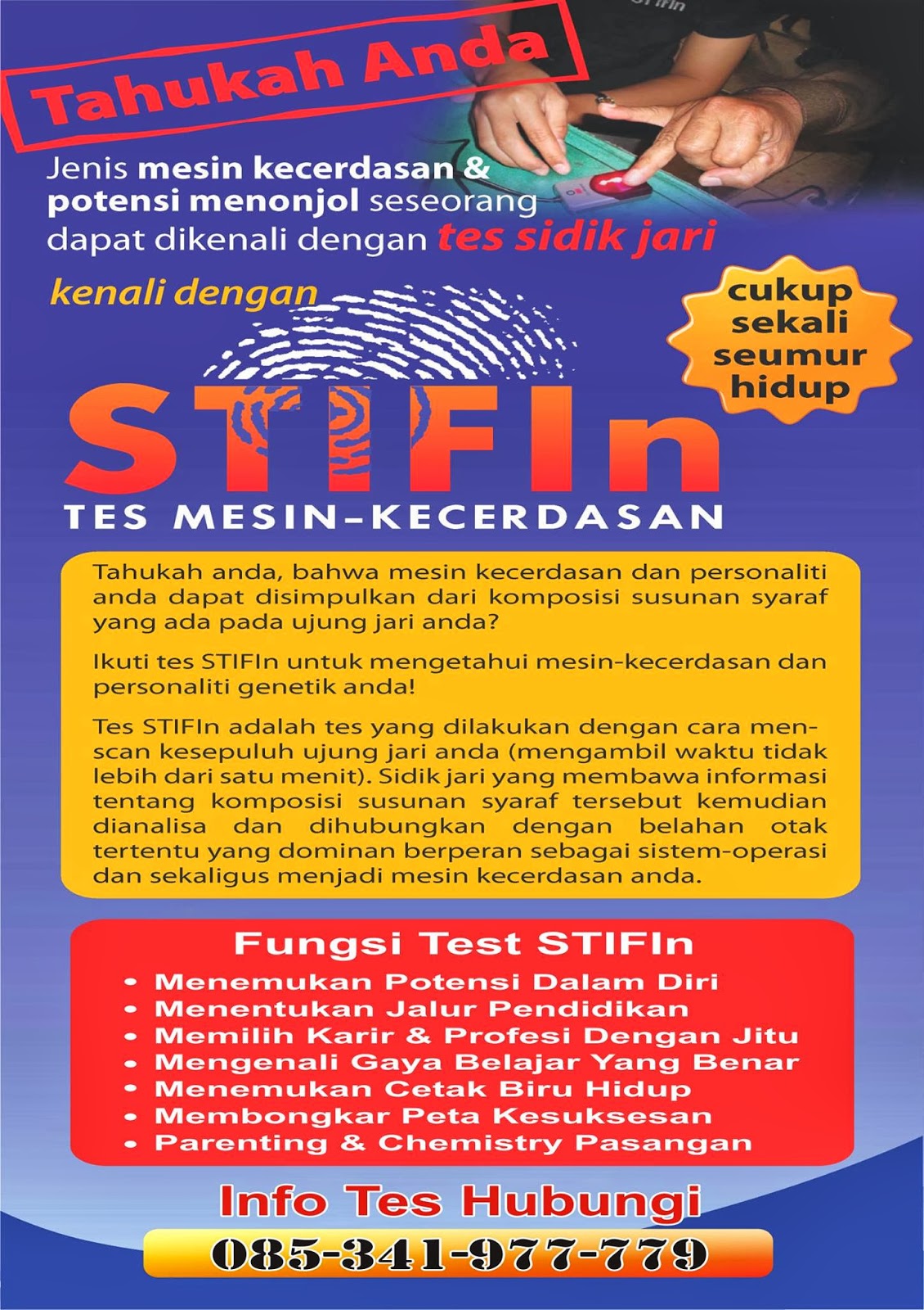 LAYANAN TES STIFIn MAKASSAR: APA ITU STIFIn