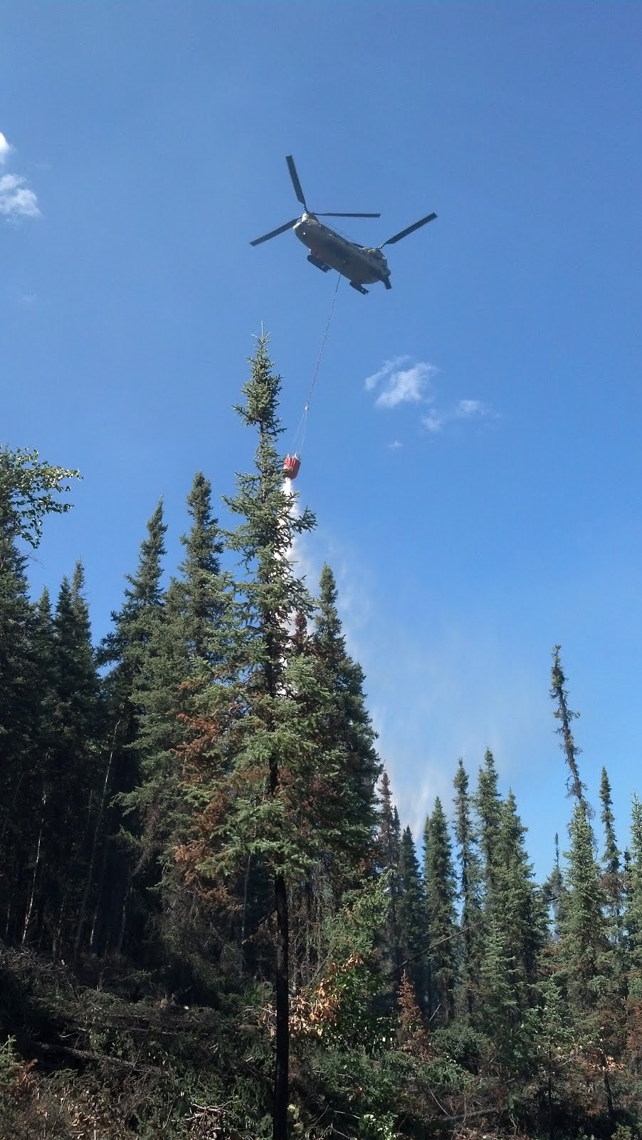 Pennsylvania Forest Fire Protection