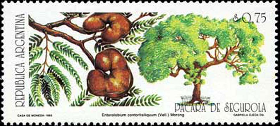 v e r d e c h a c o: Timbó colorado / Oreja de negro