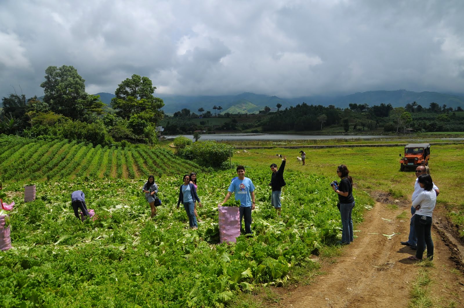 Christian Garcia Blog: Mga Batas sa Pagpapaunlad ng Sektos ng Ekonomiya