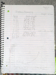 Highhill Homeschool: Shadow Math