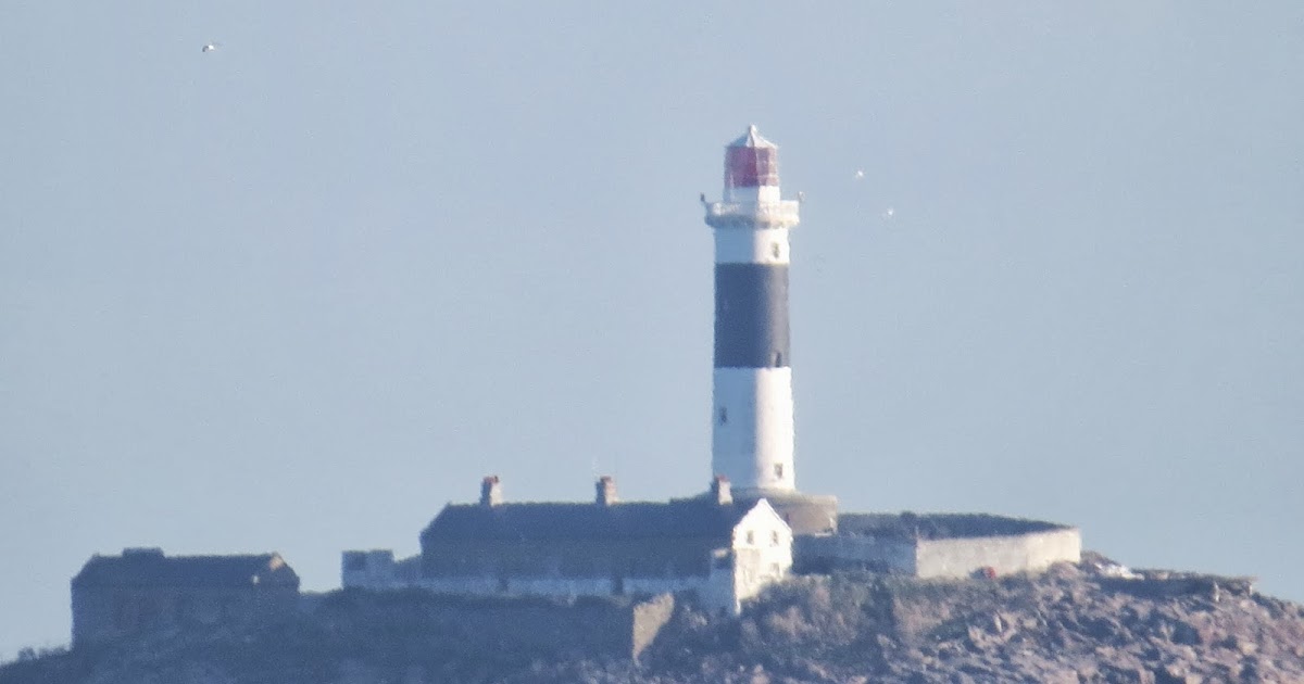 Pete's Irish Lighthouses: Rockabill Lighthouse