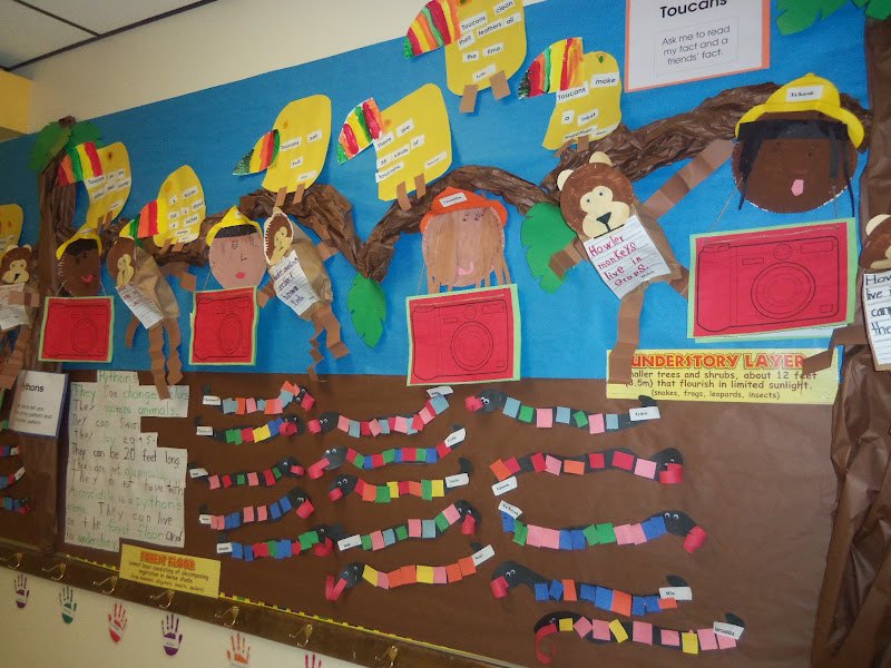 Mrs. Wood's Kindergarten Class: Rainforest Unit