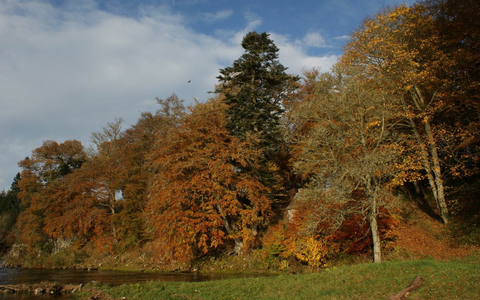 Tour Scotland: Tour Scotland Autumn Photographs Campsie Perthshire ...