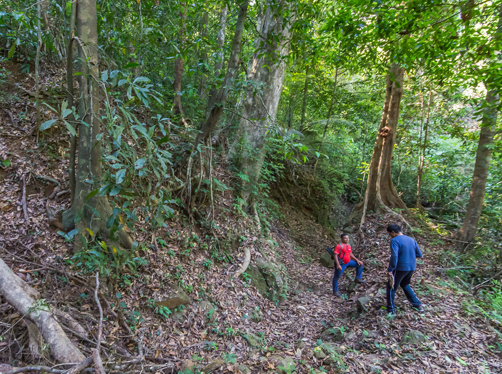 Arjun Haarith: Rhapsody in Silver : Belligundi Waterfalls