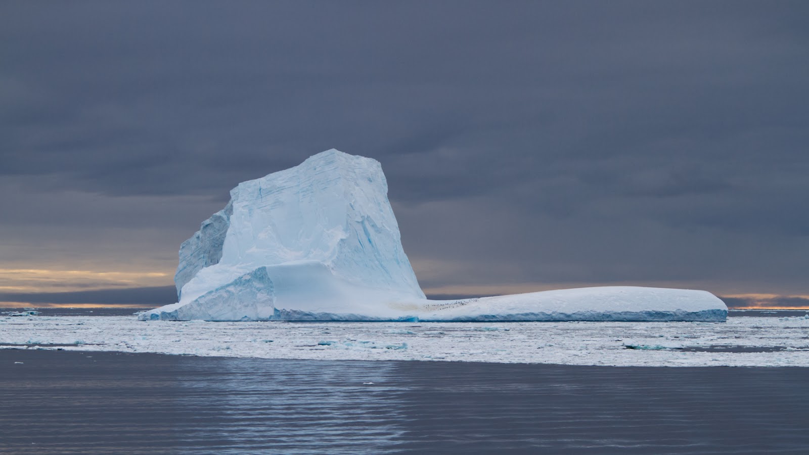 SURREALISMO PROGRESIVO: Iceberg y Camel: Hielo Surreal