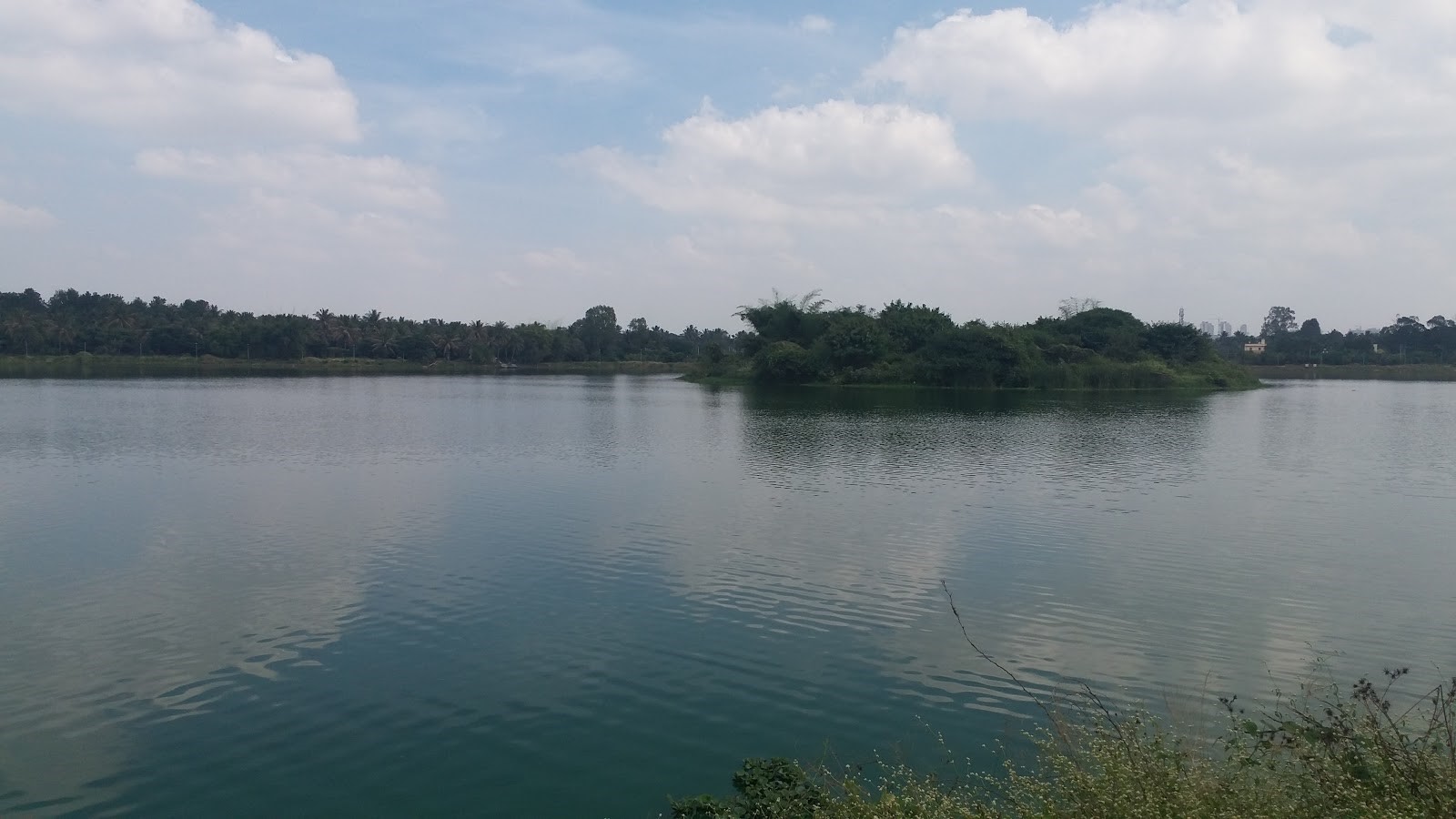 Jakkur Lake Report – Biome Environmental Trust