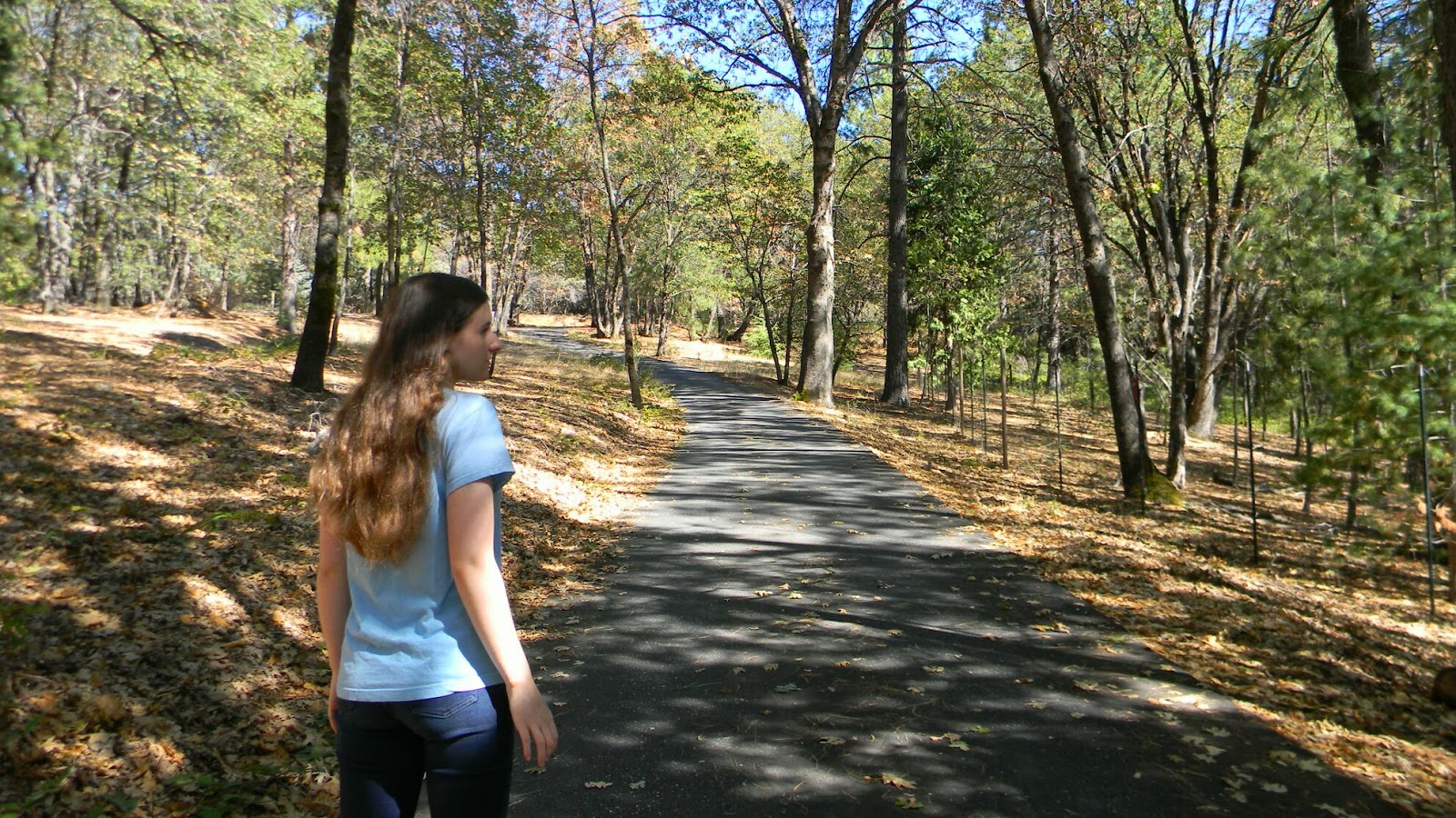 The Fairy Bookworm : Up A Road Slowly