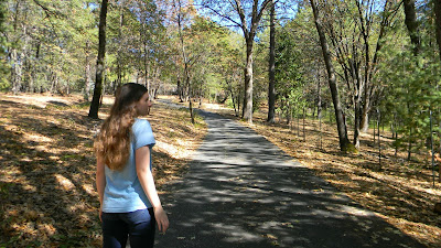 The Fairy Bookworm : Up A Road Slowly