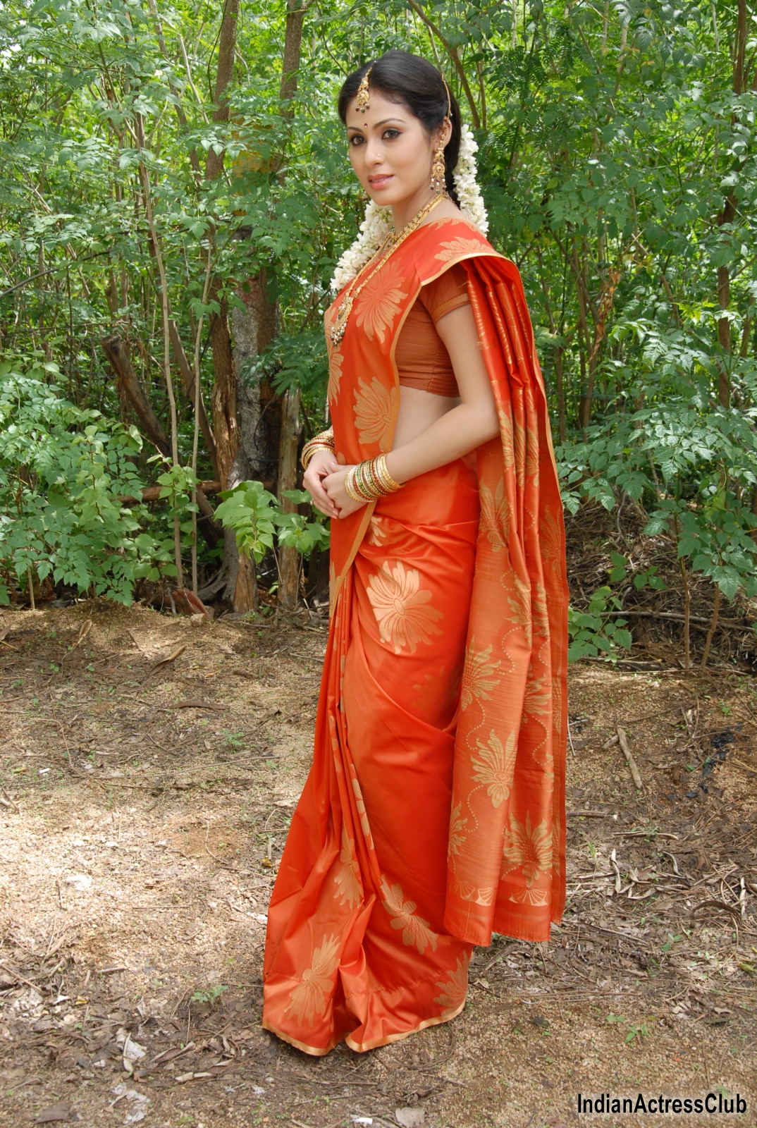 Beautiful Stills of Actress Sada in Traditional Saree and Jewelery ...