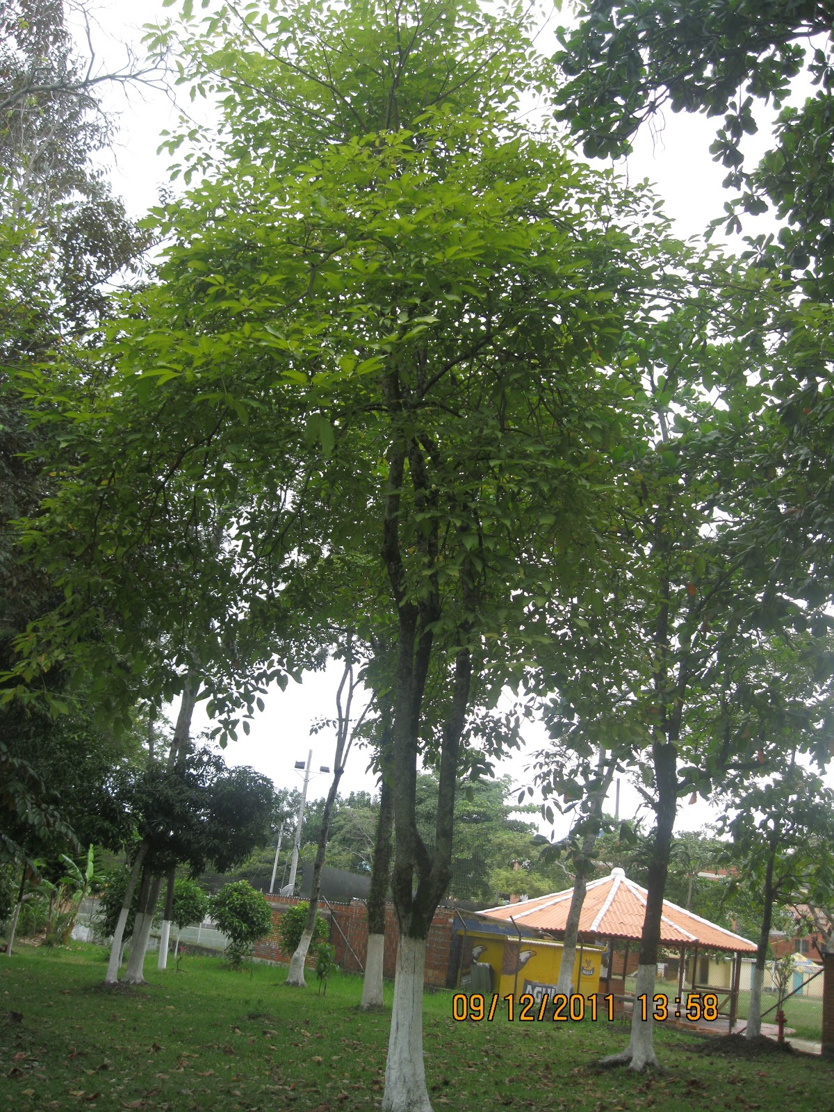 biodiversidad