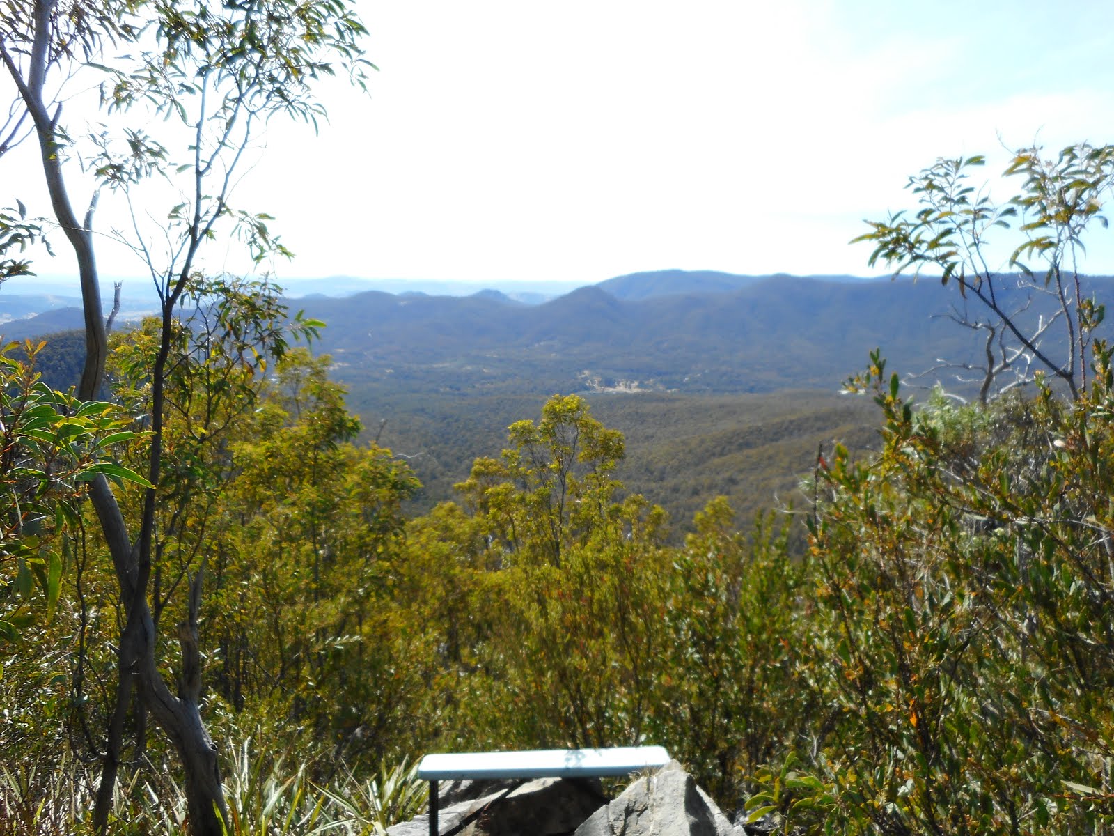 Phil's Bushwalking Blog: Tidbinbilla Nature Reserve: Tidbinbilla Mountain