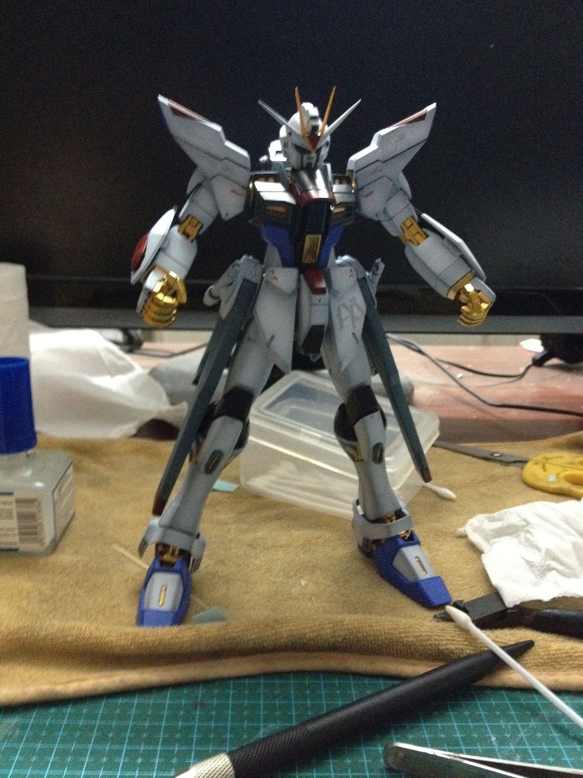 Custom Build: MG 1/100 ZGMF-X20A Strike Freedom Gundam + LED