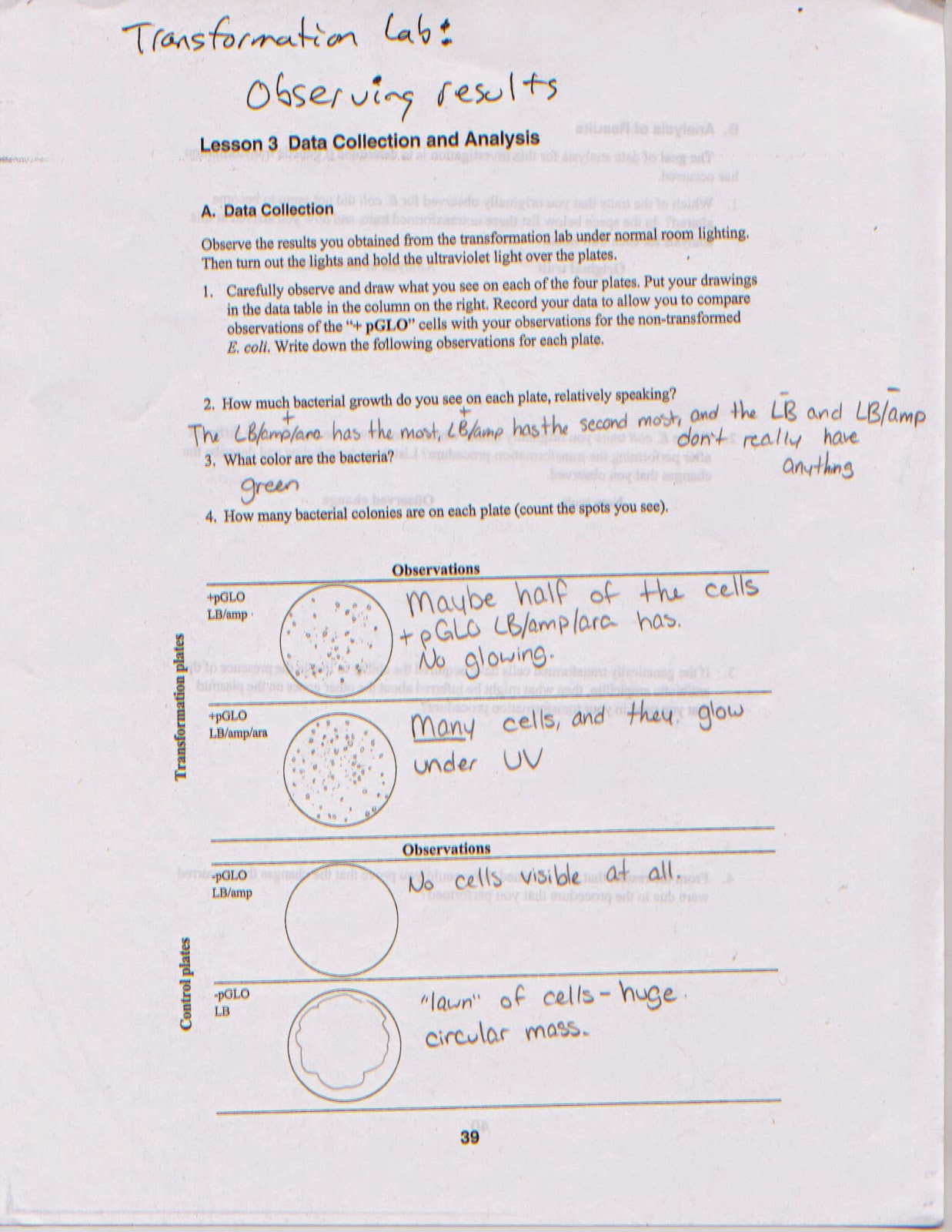 Biology- It Grows On You: Bacterial Transformation Lab