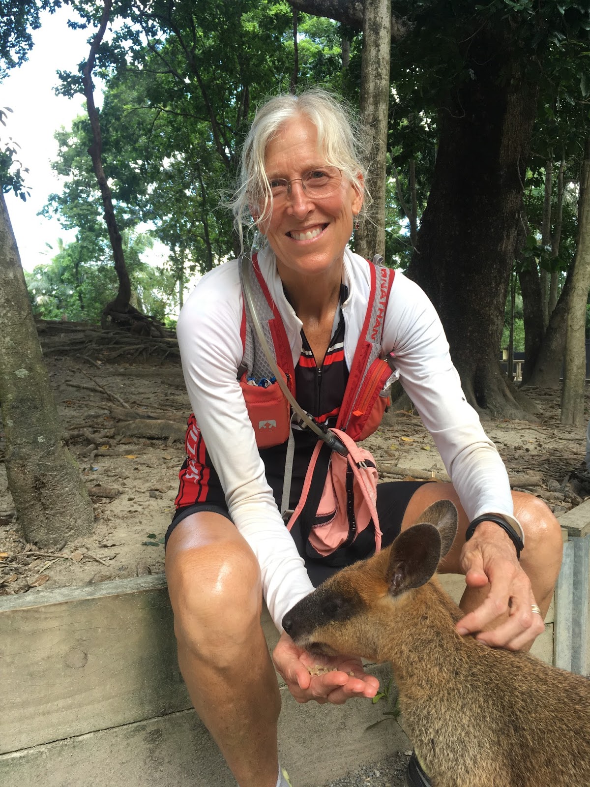 Port Douglas cycling, cane toads, cats, and stoner dogs