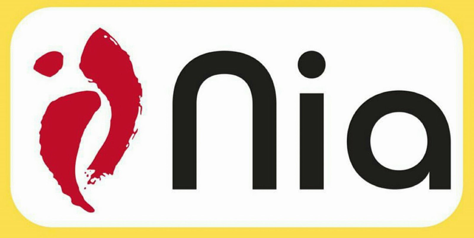 Groovin' the Nia Technique® with Groove & Wellness. - Babushka's Baile