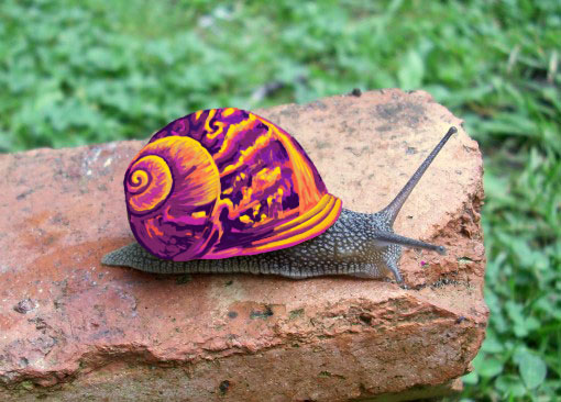 Amber's Brain!: Snail Painting. 1st Attempt: Digital