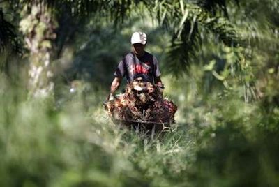 Laa..Pengajian Malaysia,: Sistem Kangani