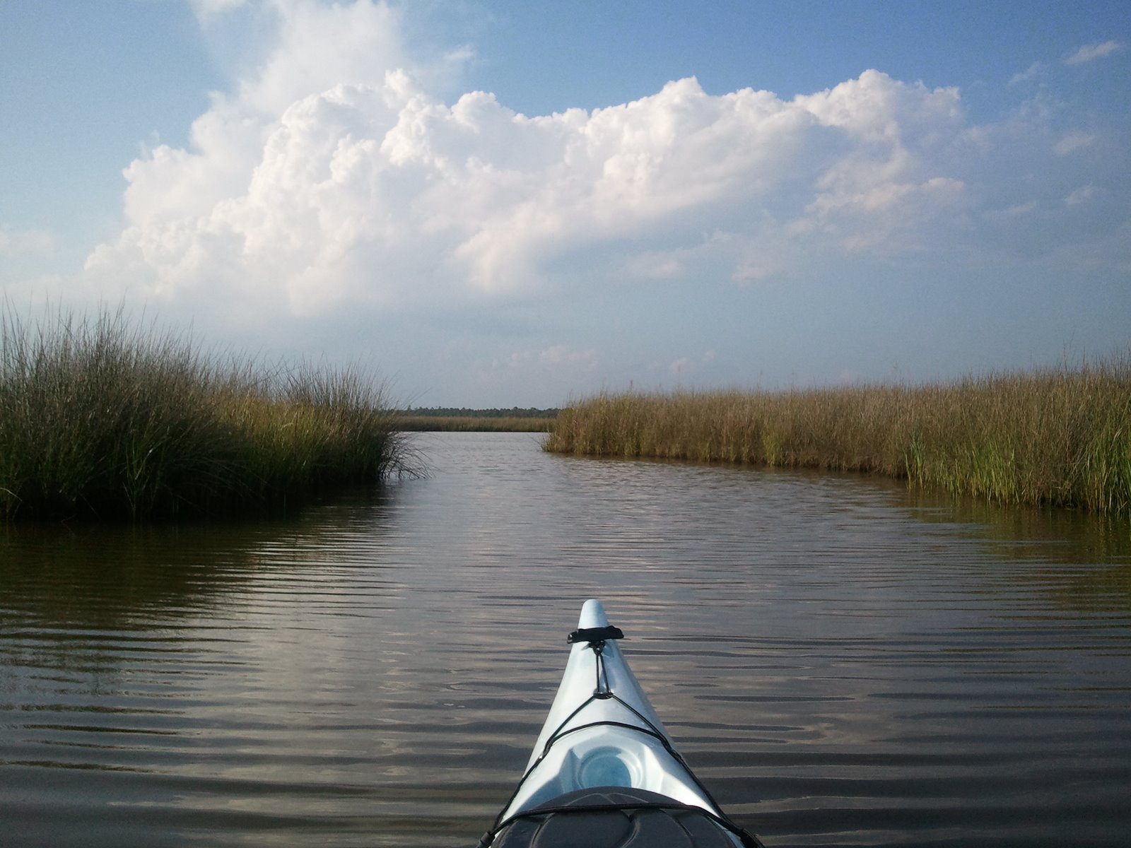 Kayak blogs from Mississippi