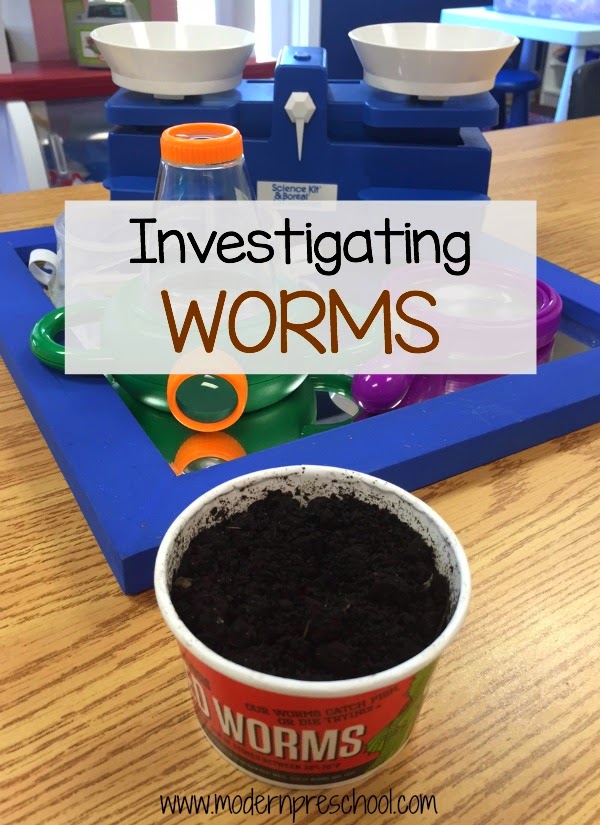 Investigating WORMS in Preschool