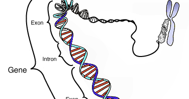 Modern Science refutes the Evolutionary theory: It’s the End of the ...