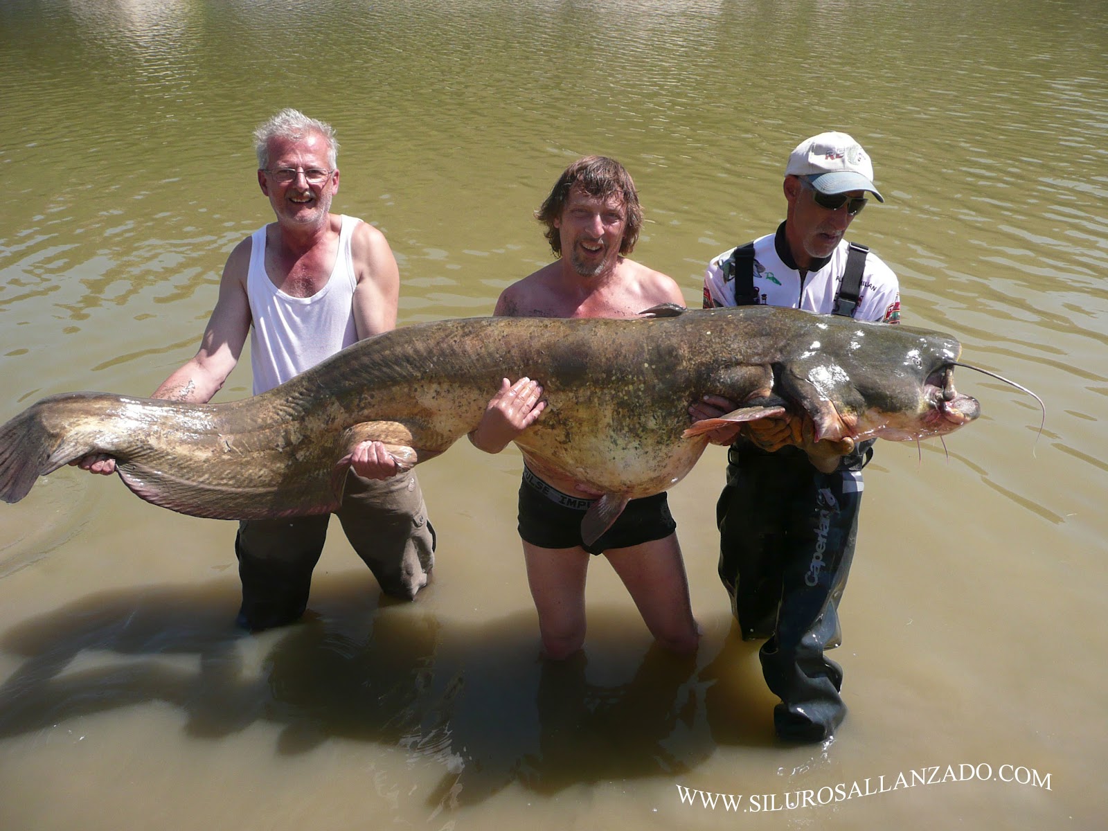 GUIA DE PESCA DE SILUROS AL LANCE (SPINNING) EN EL RÍO EBRO Y ...