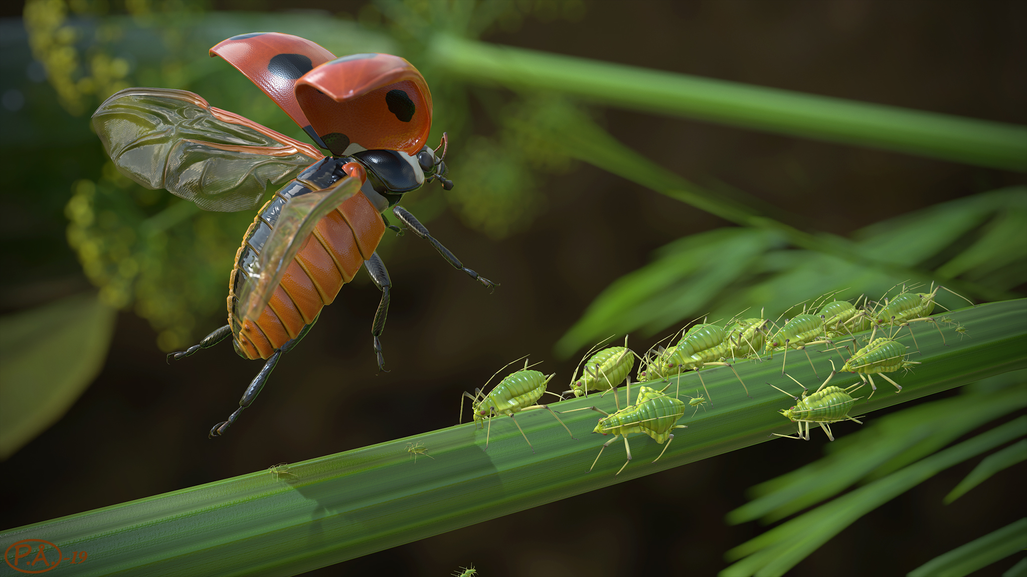 Portfolio: Greenbug (bladlus)