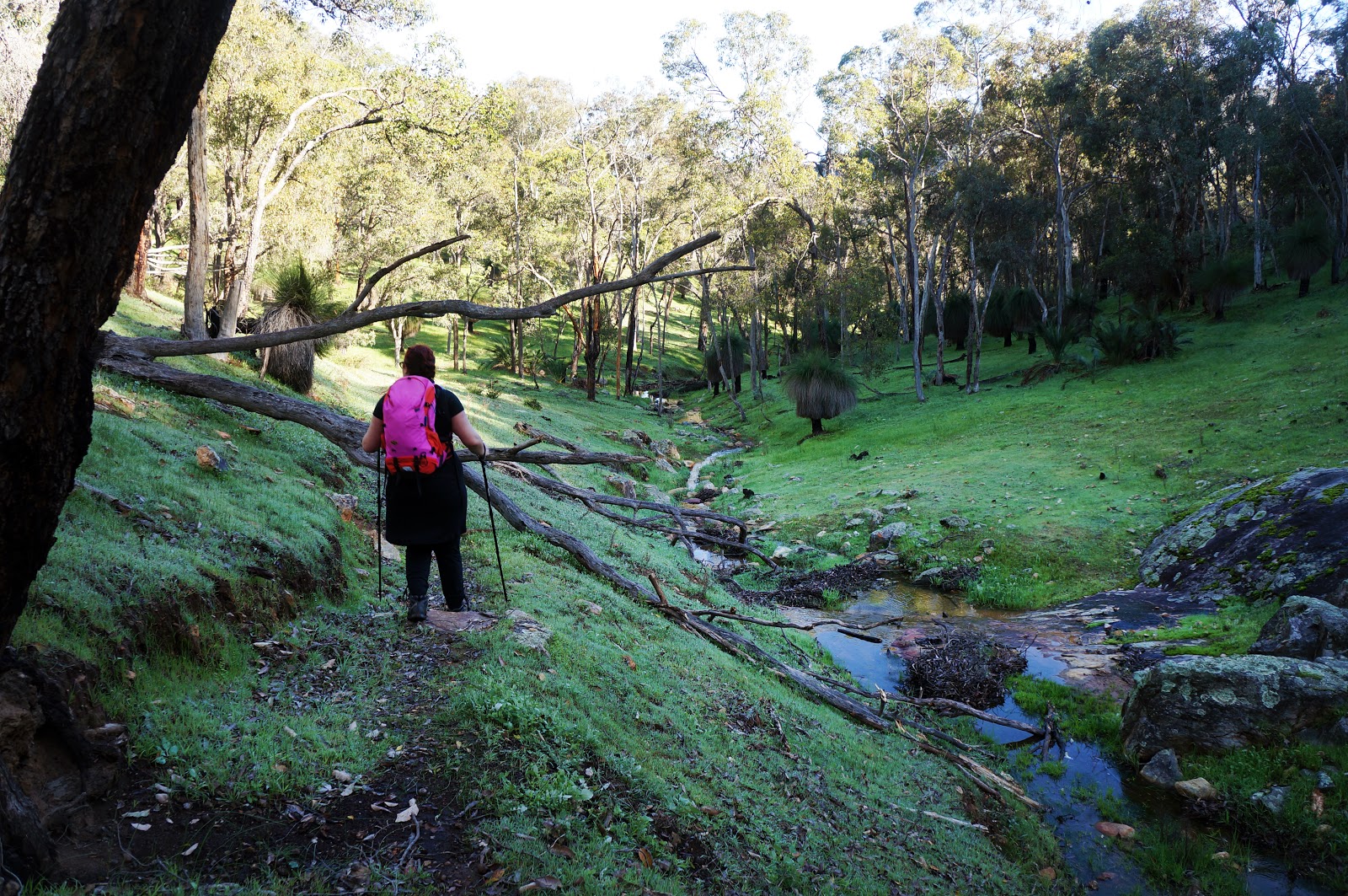 Numbat Track (Paruna Wildlife Sanctuary) ~ The Long Way's Better